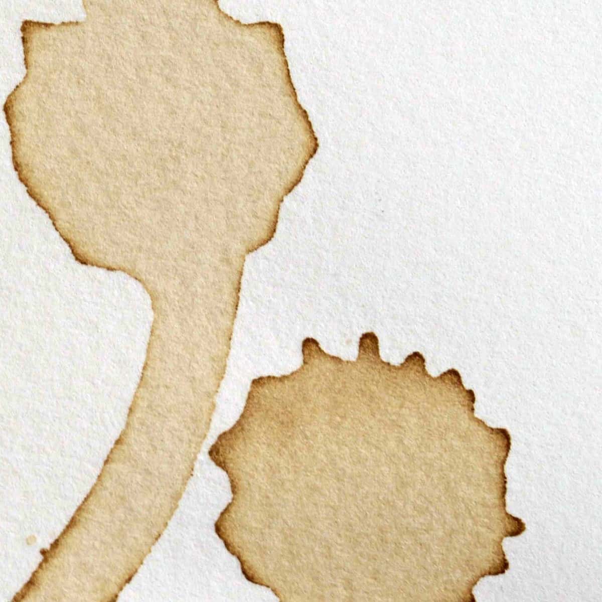 The Physics of Watercolour - Linda Saul RWS