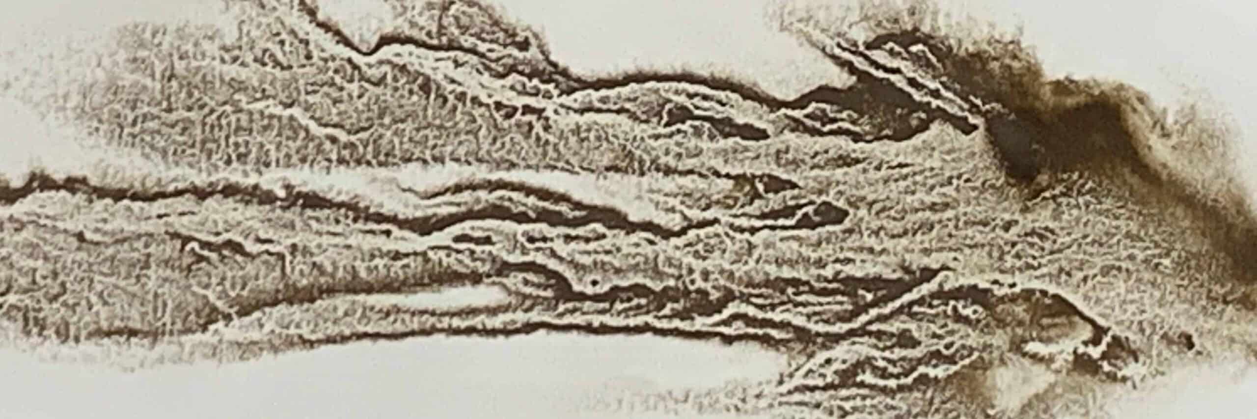 Watercolour Granulation - sedimentation and flocculation - Linda Saul RWS